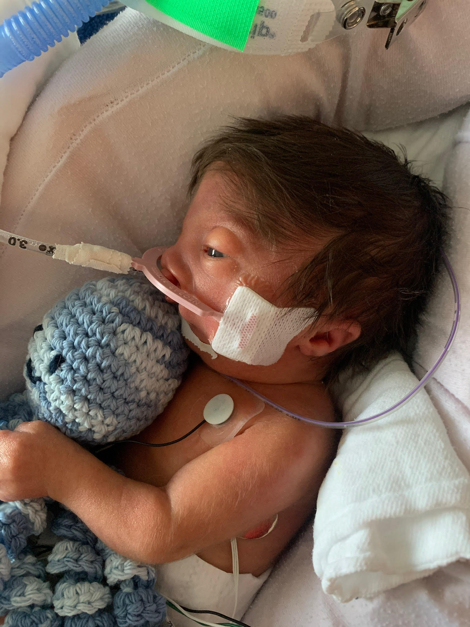 Archie’s Promise: From Grief to Giving Back | Henry County Community ...