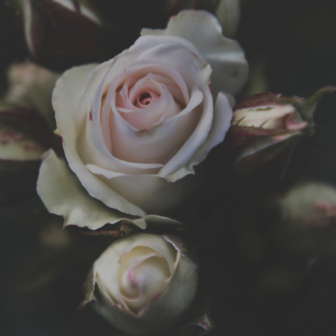 Sarah Jeanne Hurst | Henry County Community Foundation